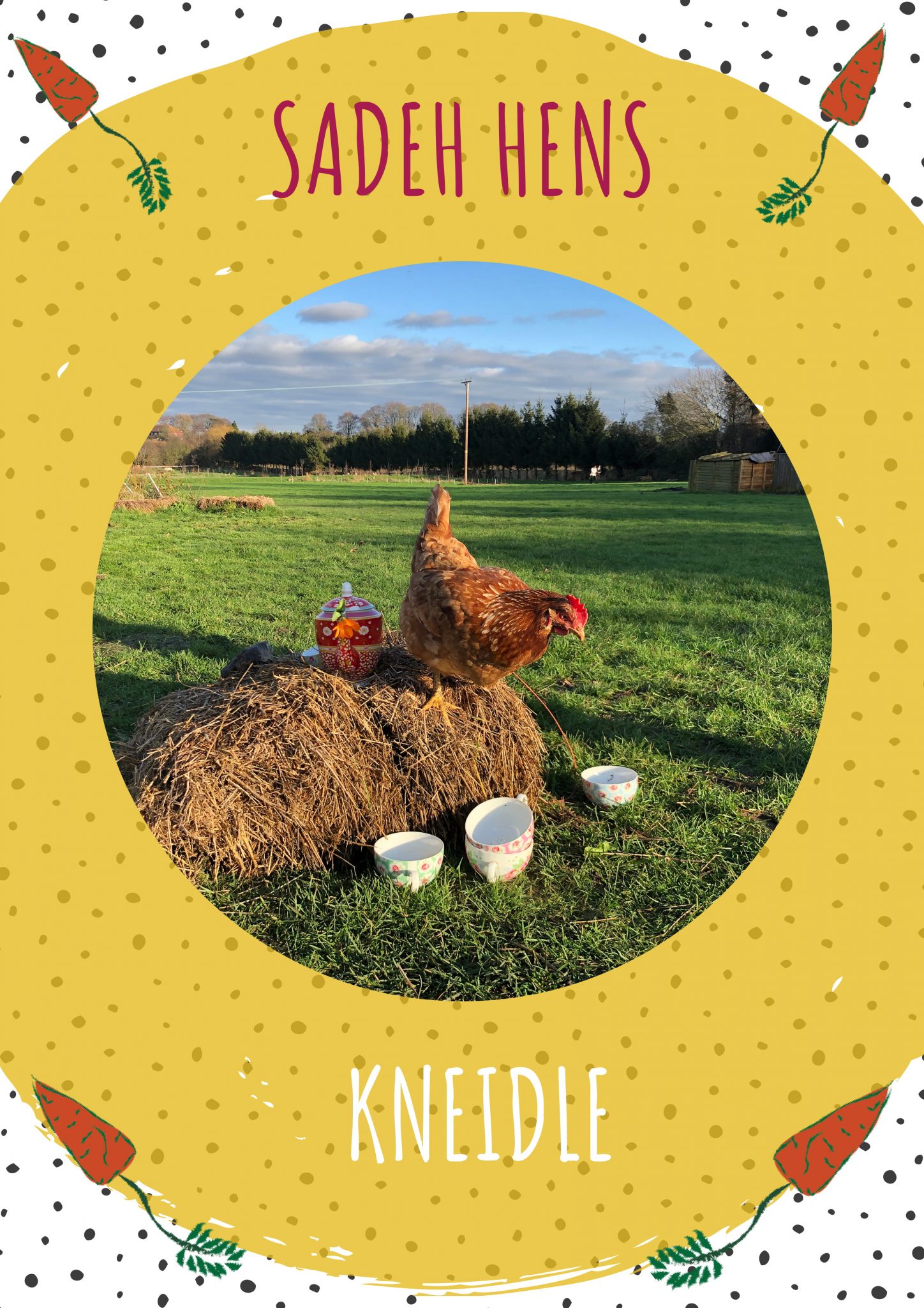 Our chickens – Sadeh farm