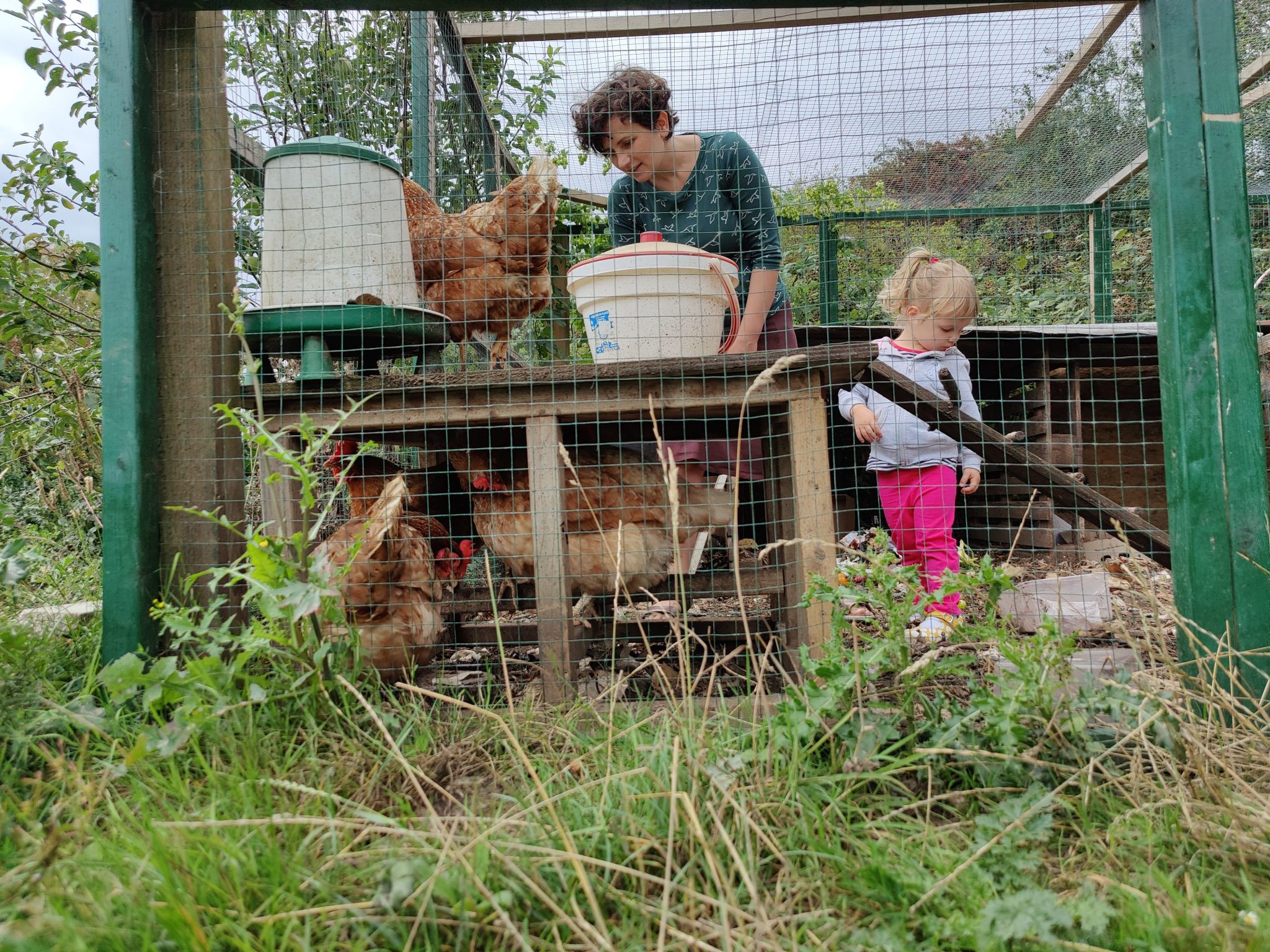 About – Sadeh farm