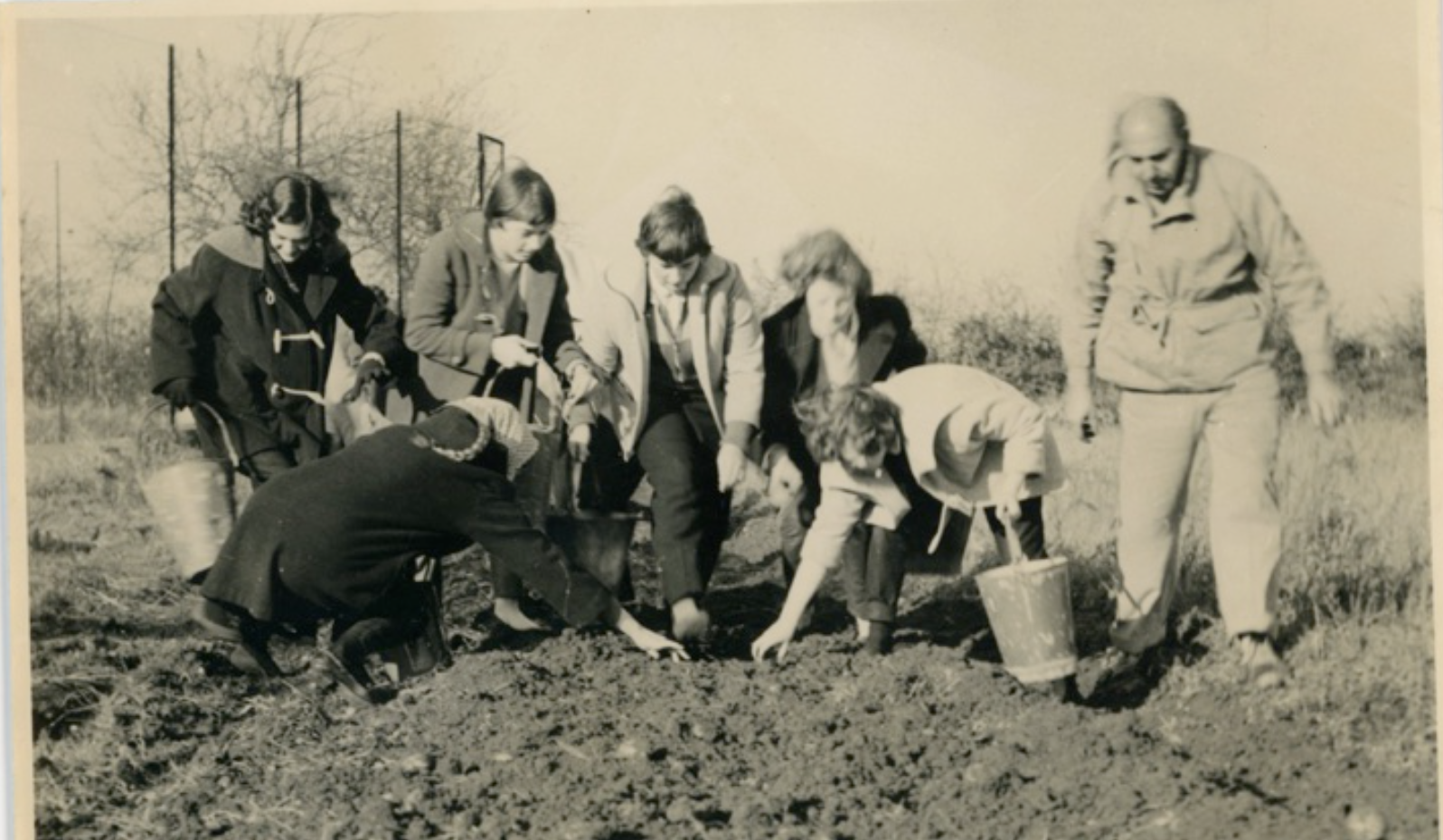 About – Sadeh farm