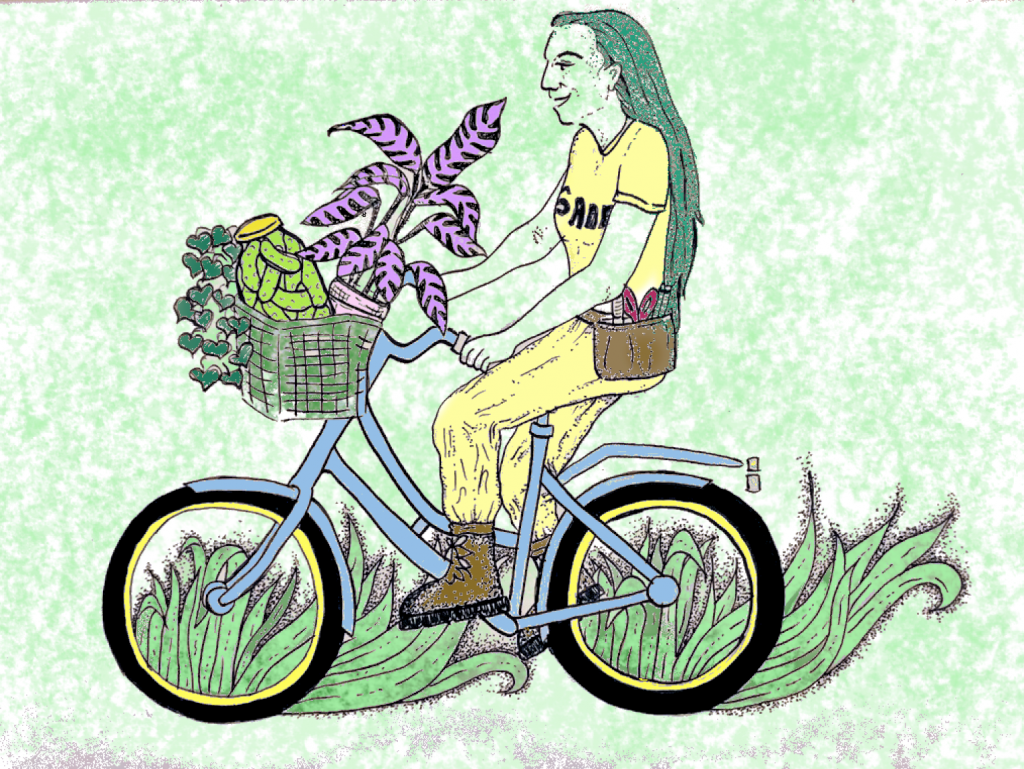 Sadeh on the road – Sadeh farm