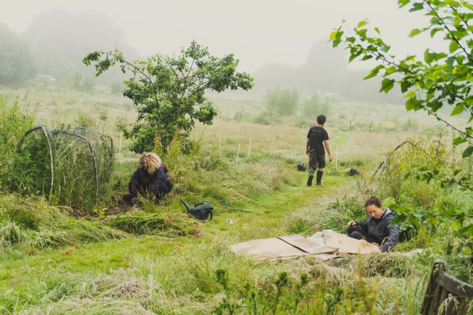 Sadeh farm – The Jewish farm and retreat centre