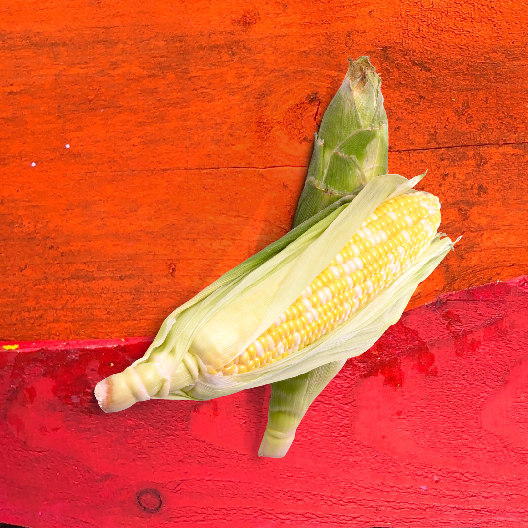 About – Sadeh farm