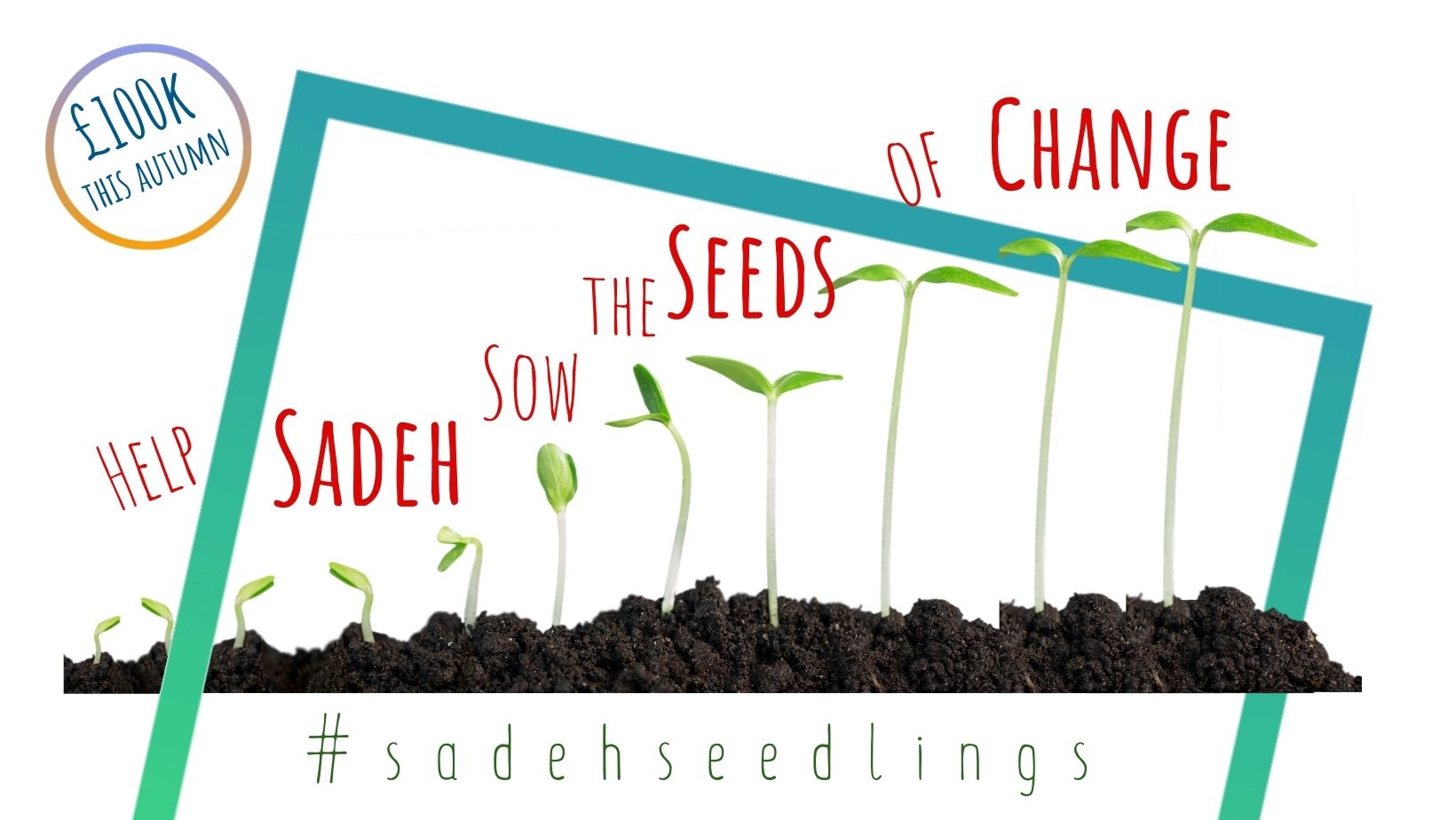 Sadeh farm – The Jewish farm and retreat centre