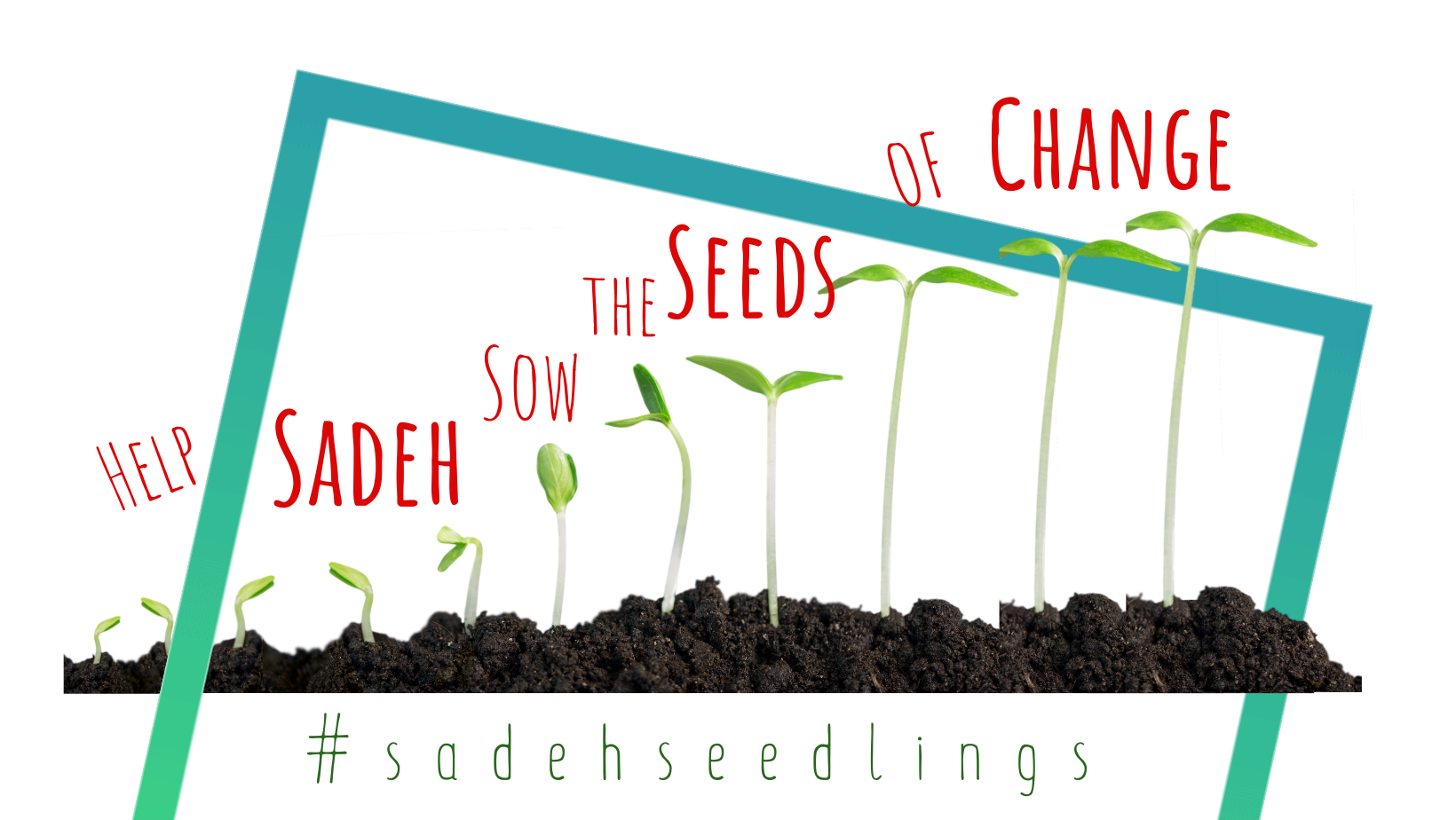 Educational Programmes – Sadeh farm