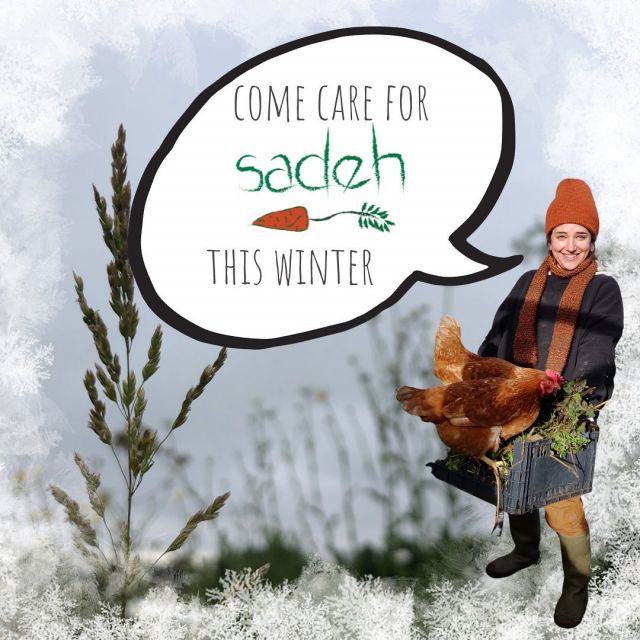 Sadeh farm – The Jewish farm and retreat centre