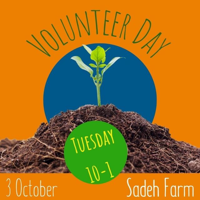 Sadeh farm – The Jewish farm and retreat centre