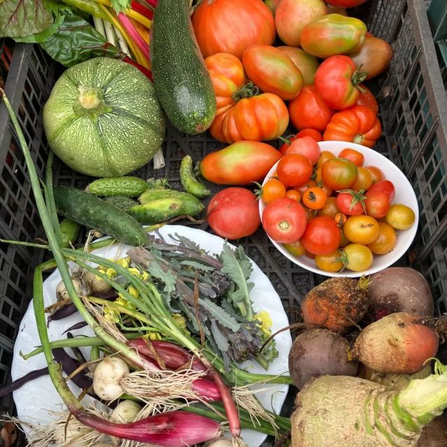 Sadeh farm – The Jewish farm and retreat centre