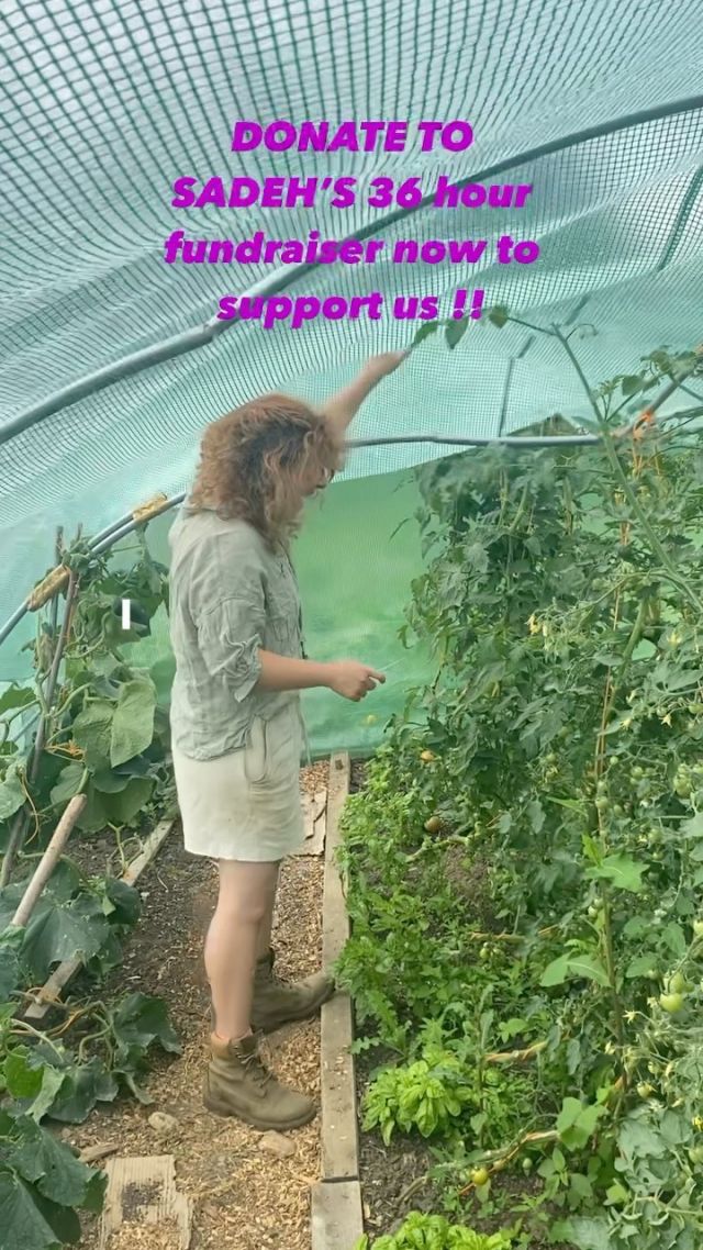 Sadeh farm – The Jewish farm and retreat centre