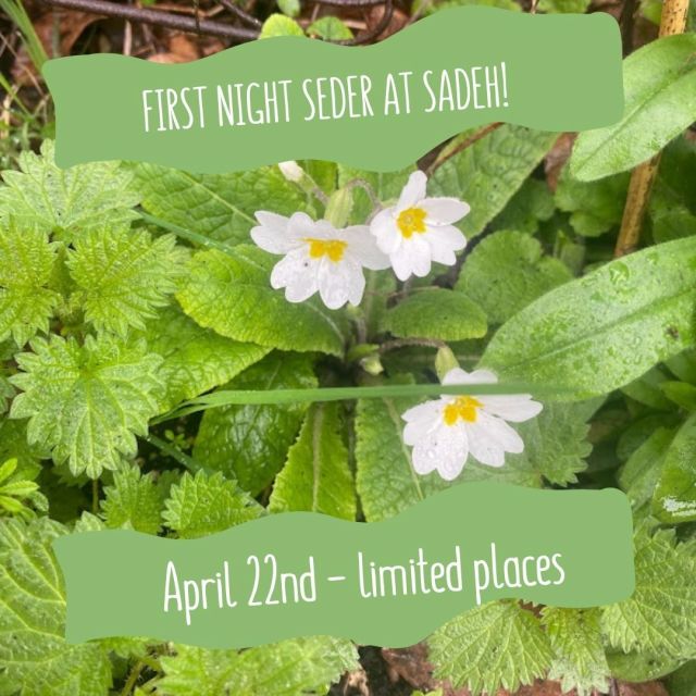 Sadeh farm – The Jewish farm and retreat centre