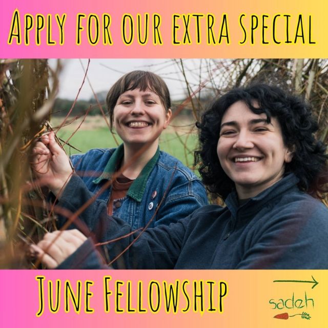 Sadeh farm – The Jewish farm and retreat centre