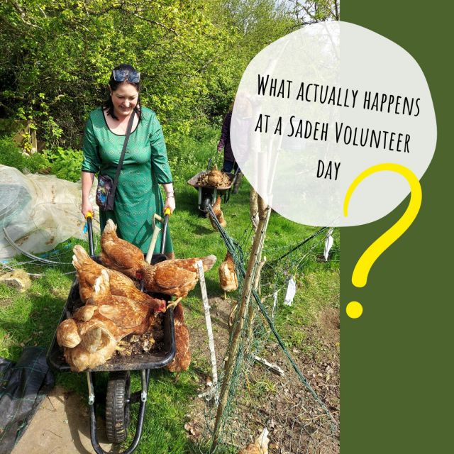 Sadeh farm – The Jewish farm and retreat centre