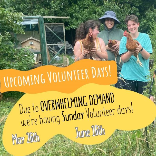 Sadeh farm – The Jewish farm and retreat centre