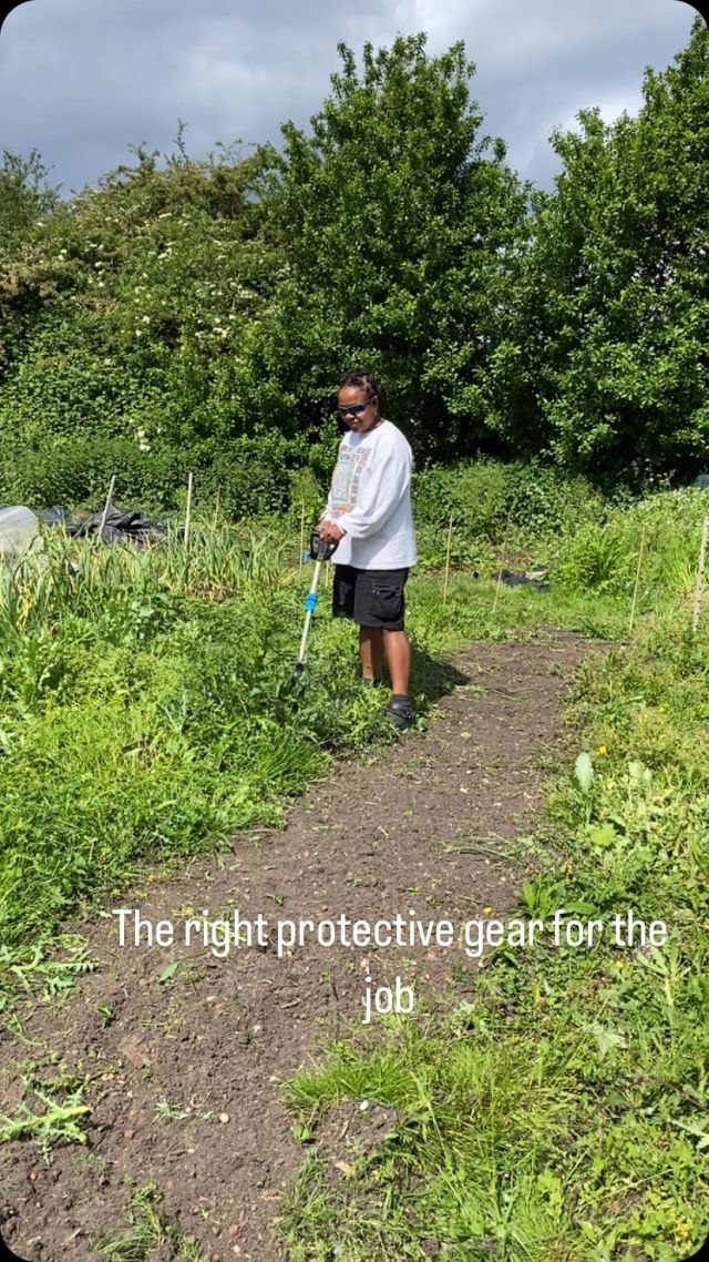 Sadeh farm – The Jewish farm and retreat centre