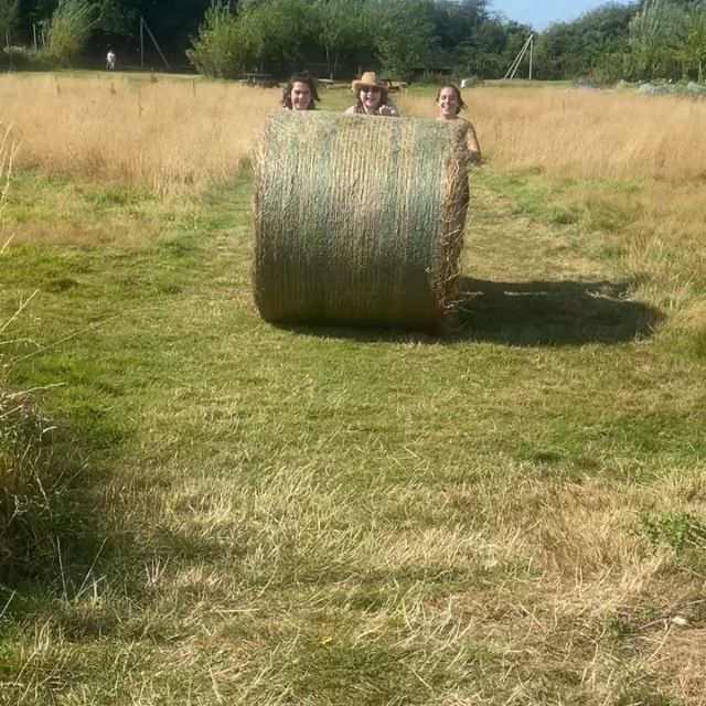 Sadeh farm – The Jewish farm and retreat centre