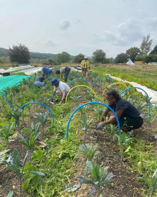 Sadeh farm – The Jewish farm and retreat centre