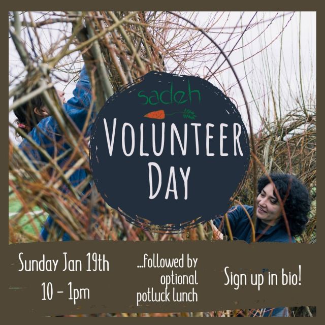 Sadeh farm – The Jewish farm and retreat centre