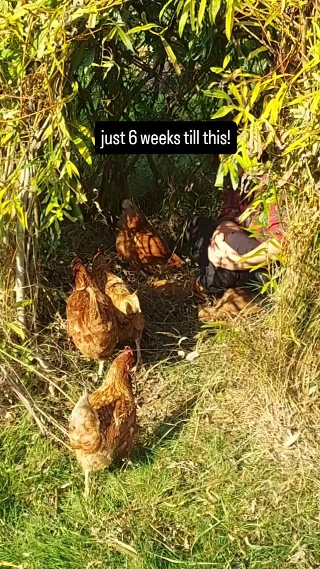 Sadeh farm – The Jewish farm and retreat centre