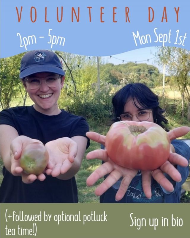 Sadeh farm – The Jewish farm and retreat centre