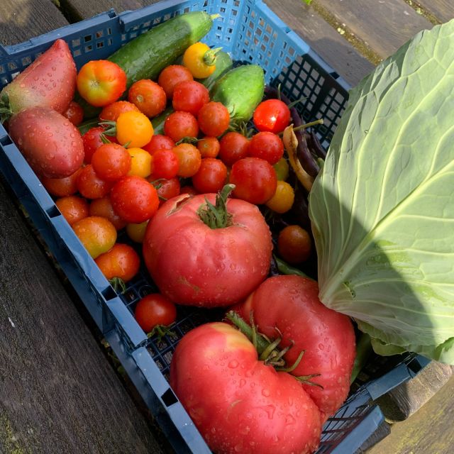 Sadeh farm – The Jewish farm and retreat centre