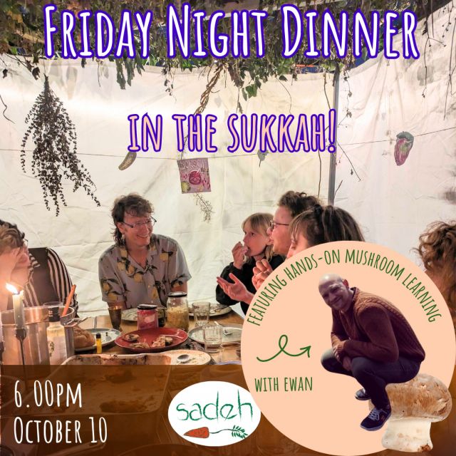 Sadeh farm – The Jewish farm and retreat centre